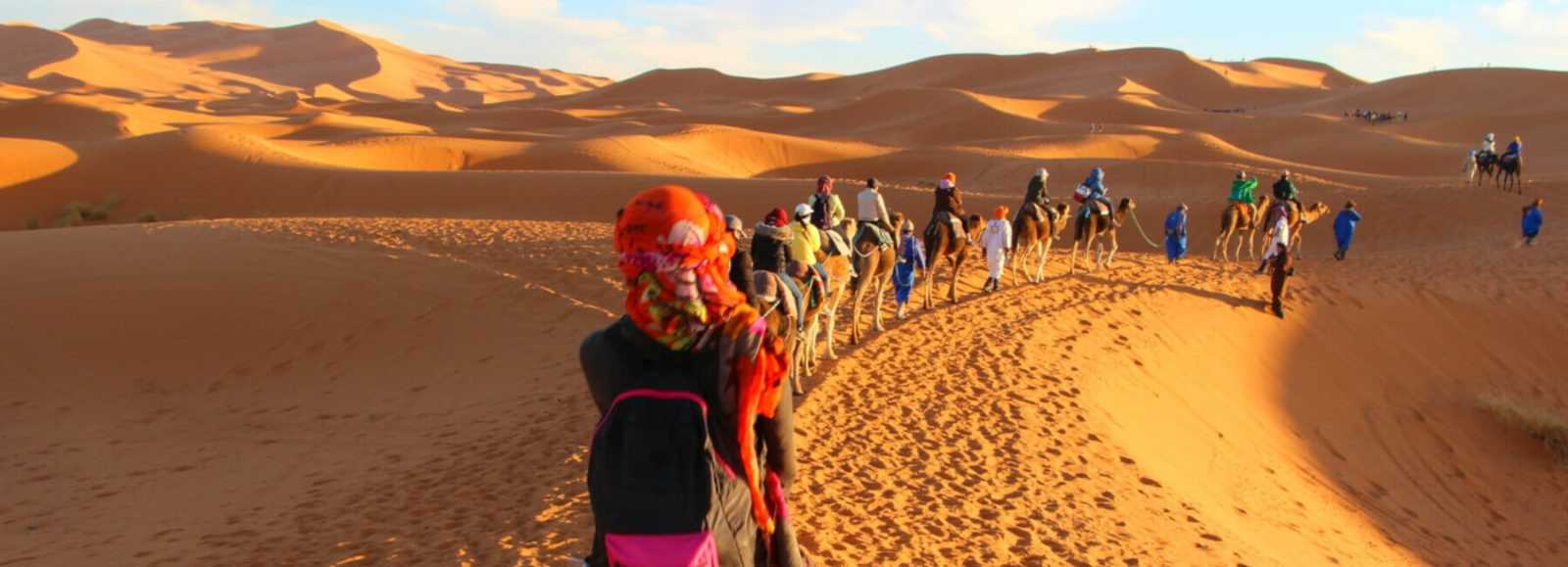 Marrakech Camel Riding Tours - Camel Trekking - Tiketi Blog - Travel Guide