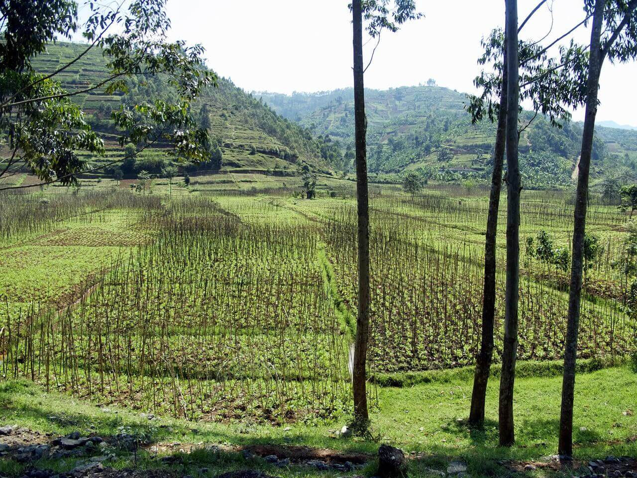 Holiday Destinations in Rwanda Travel Guide & Best Places to Visit